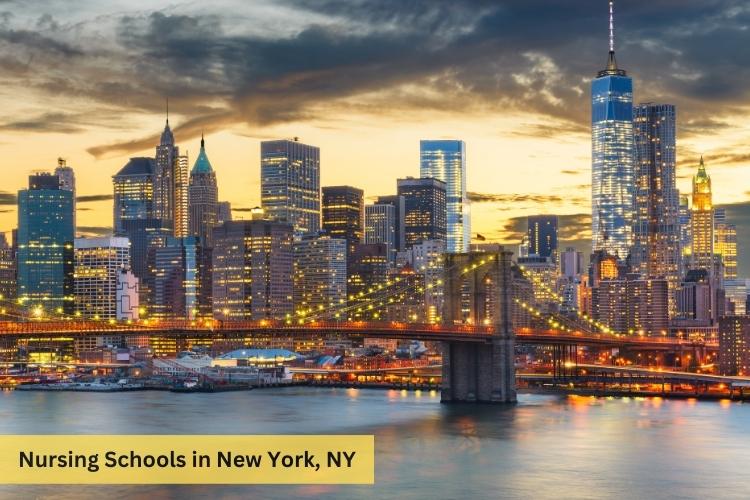 Nursing Schools In New York, NY