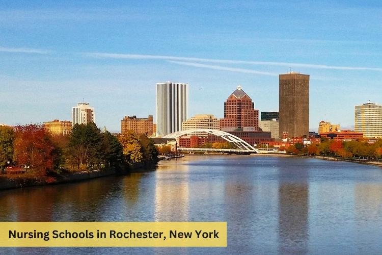 Nursing Schools In Rochester, NY